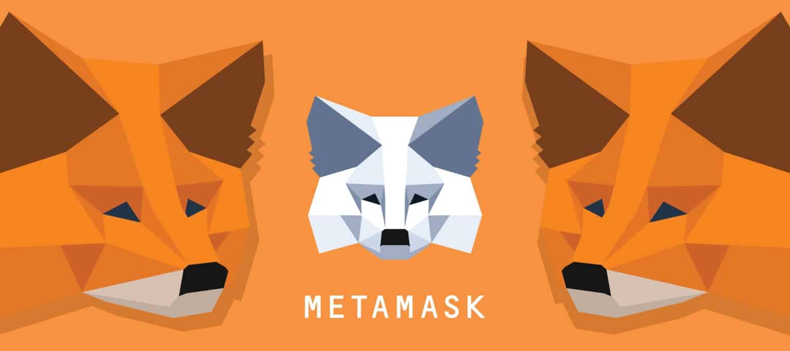 Metamask Tutorial: Anleitung und Netzwerkwechsel | BTC-ECHO