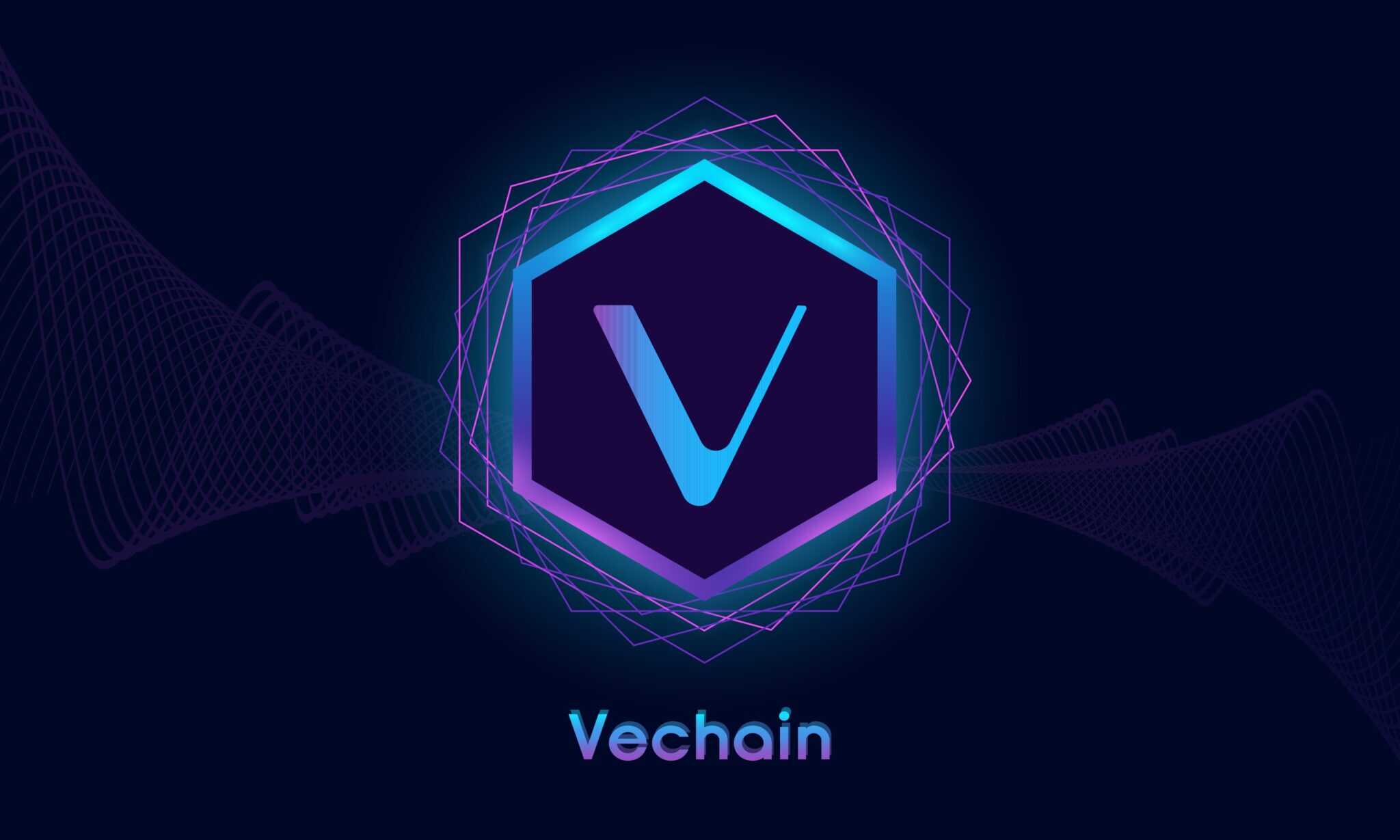 Was ist VeChain (VET): Coin und Netzwerk einfach erklärt