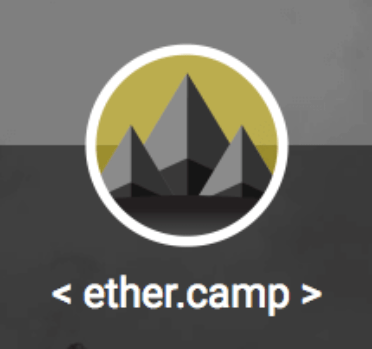 ether.camp - Ethereums erster Virtual Accelerator
