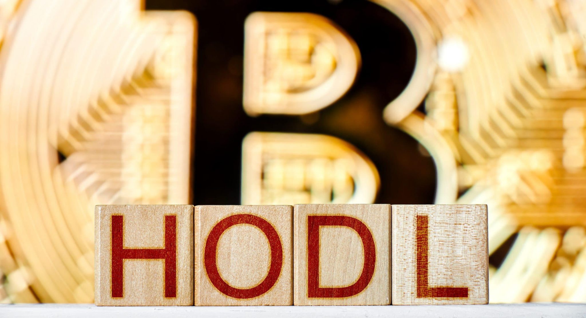 Bitcoin Hodl Day: Legendäres Meme wird 11 Jahre alt