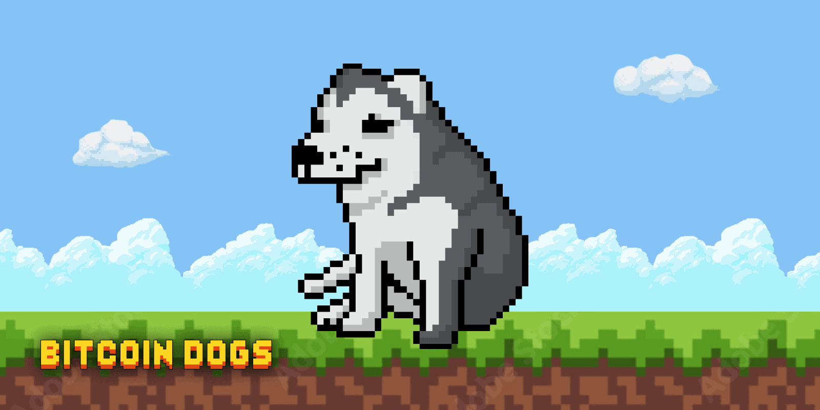 Bitcoin Dogs im Presale: Das erste ICO auf der Bitcoin-Blockchain