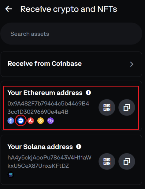 Base Guide: Wie man auf der Coinbase Blockchain durchstartet