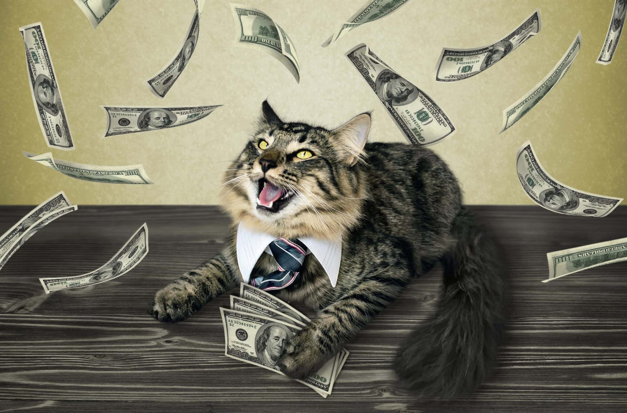 Hedera (HBAR): CEO Eric Piscini im Interview